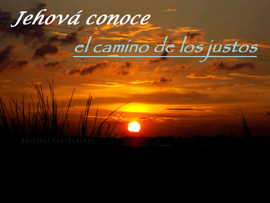 Salmo 1, Los malos son como el tamo que arrebata el viento