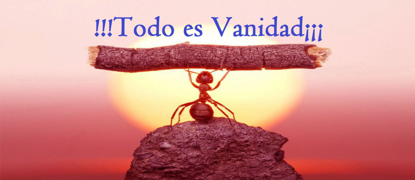 Vale la pena vivir esta vida?» ¡La vanidad de la vida¡