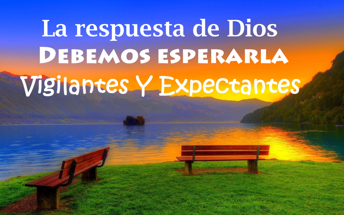 Confiando En El Señor En Medio De La Aflicción. Evangelio de Juan 16:33