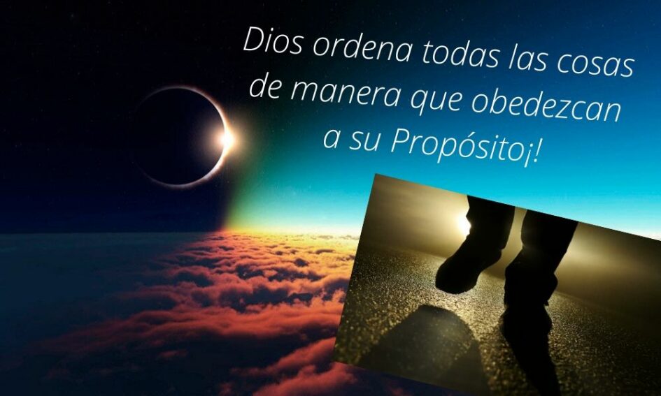 Sostenidos Por La Palabra De Dios. Una reflexión de 1 Reyes 17: 14